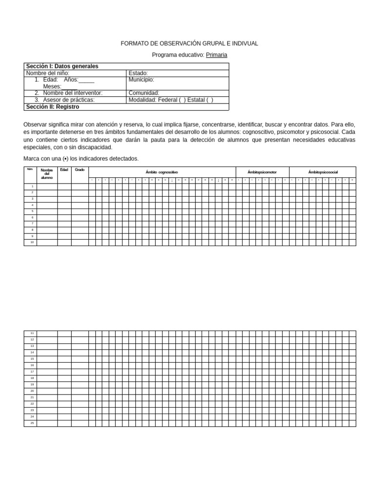 Formato de Observacion | PDF