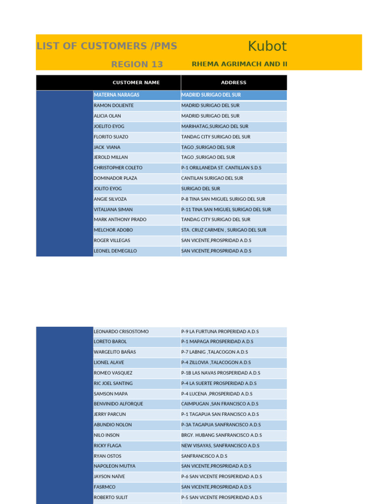Client Pms Monitoring | PDF