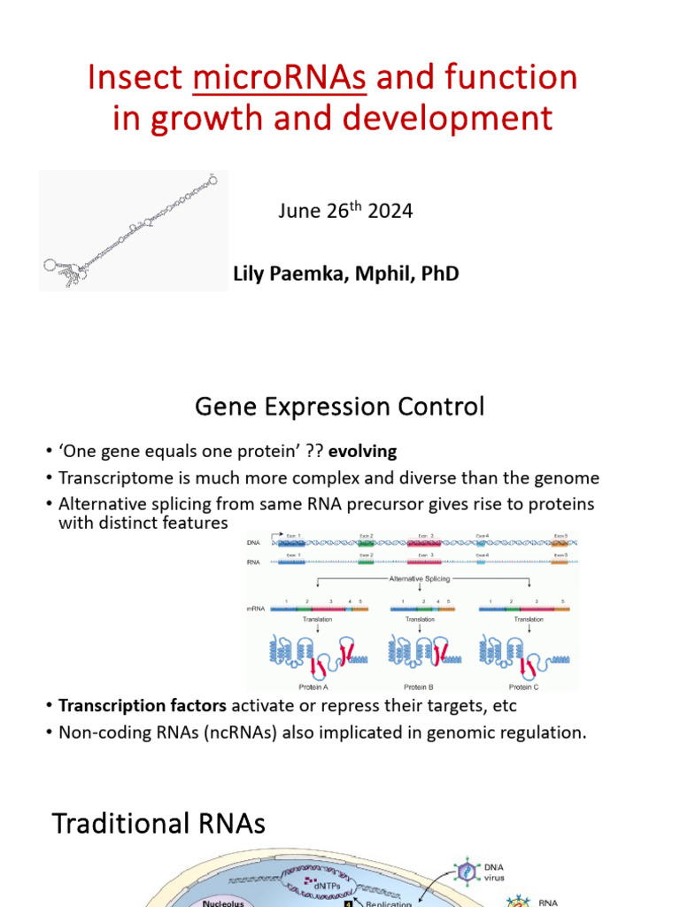 BCMB418 - 2024 - Insect microRNAs and Function in Growth and Function ...