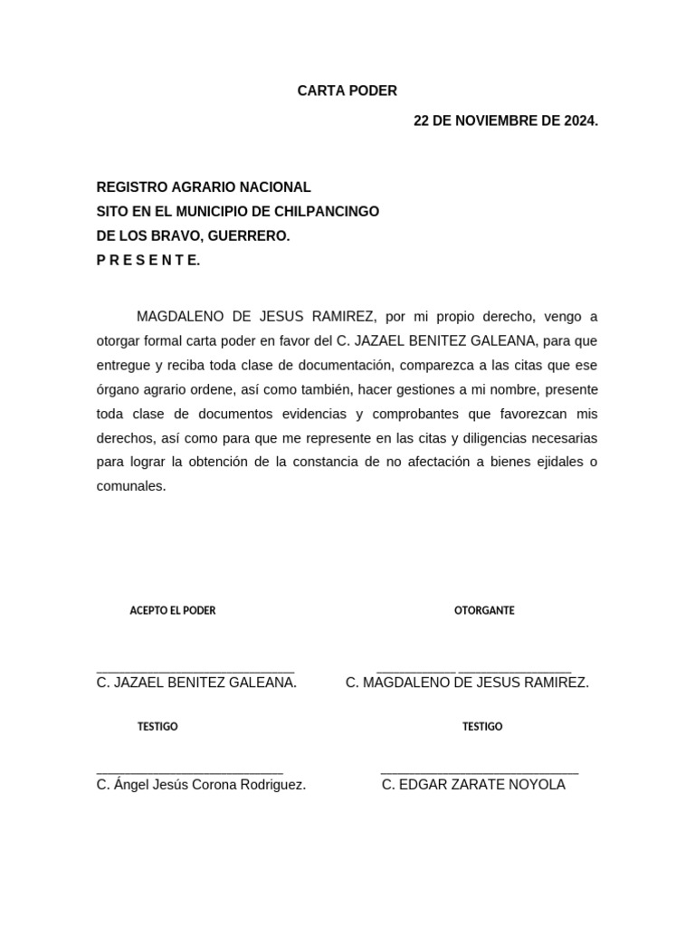 Formato Carta - Poder | PDF