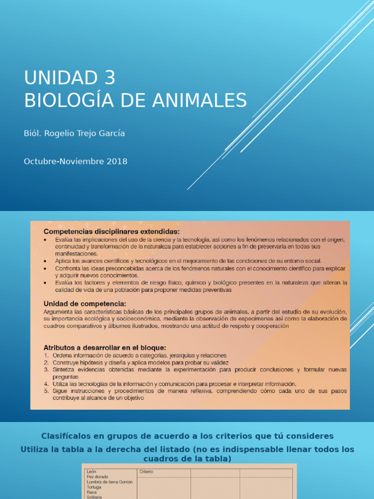 Clasificación y Evolución de Animales | PDF | Taxonomía (biología ...