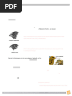 Beaks of Finches Lab Activity Guide | PDF | Ecological Niche | Birds