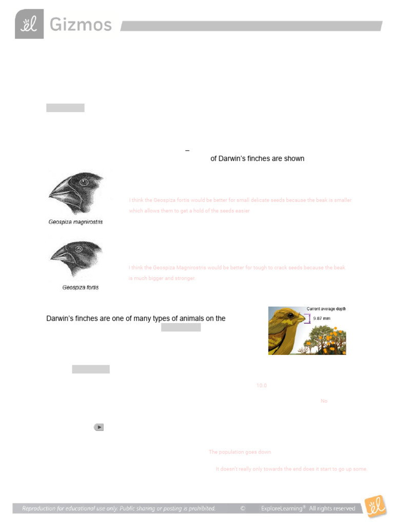 Kami Export - RainfallBirdMetricSE | PDF | Biological Evolution | Biology