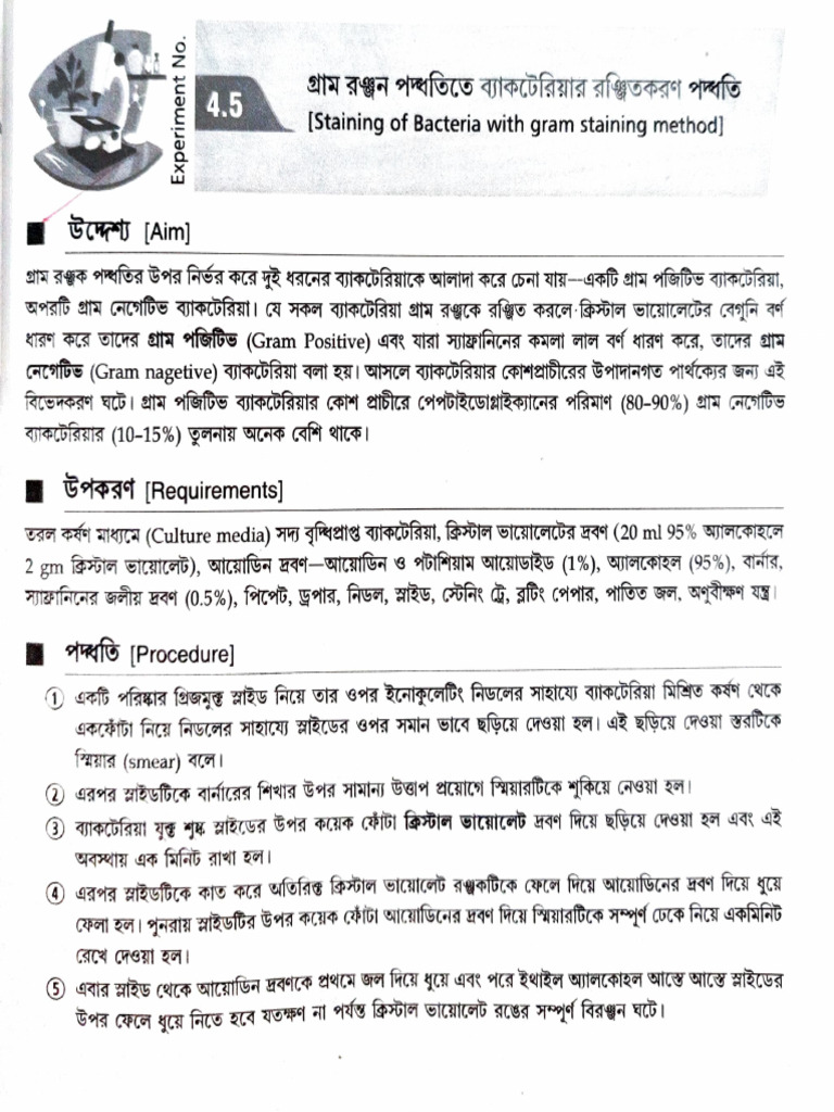 Gram Staining of Curd Bacteria | PDF