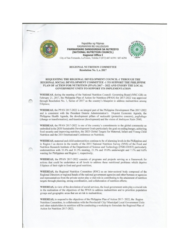 RNC Resolution No. 1s 2017 - 2022 PPAN | PDF