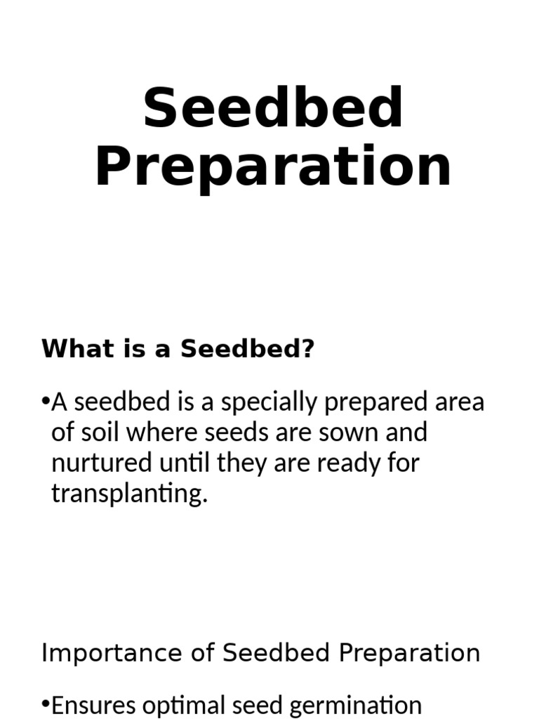 Seedbed Report Gawas Sa Earth Company2 (1) | PDF | Soil | Agriculture