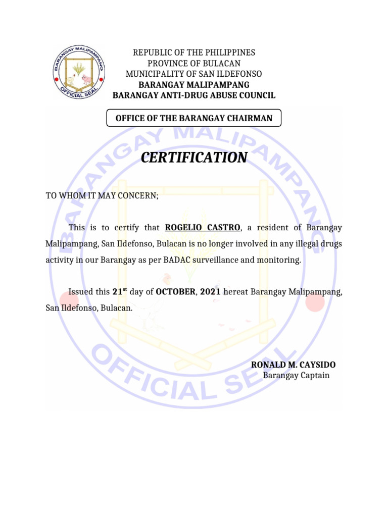 BADAC Activity Certification Sample | PDF