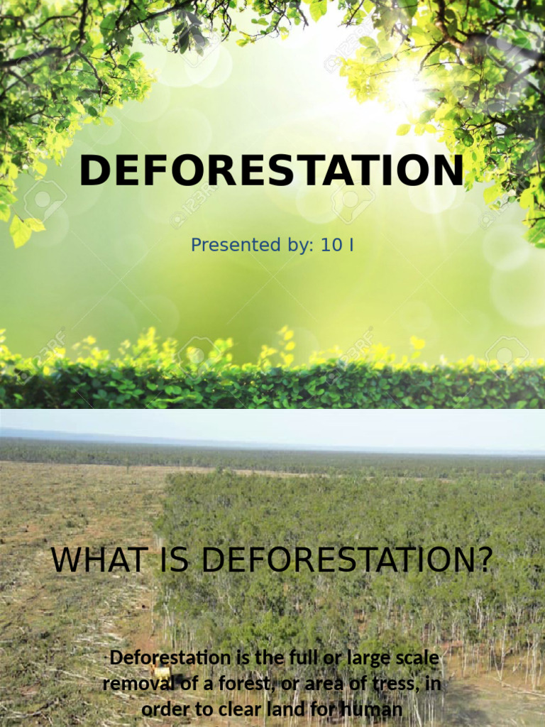 DEFORESTATION | PDF