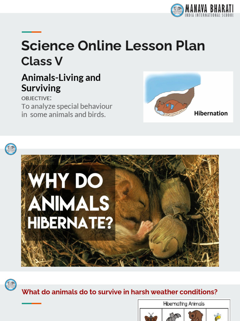 HIBERNATION | PDF