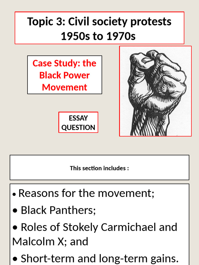 Topic 3 - Black Power | PDF | Black Power | Black Panther Party