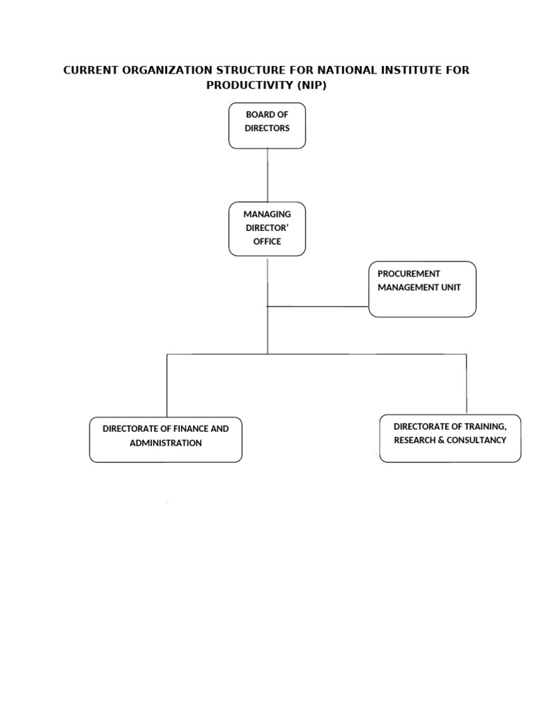 NIP Organization Structure Overview | PDF