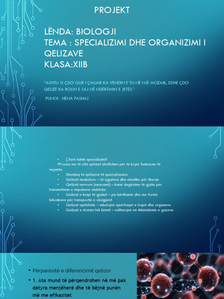 Projekt Lënda: Biologji Tema: Specializimi Dhe Organizimi I Qelizave Klasa:Xiib | PDF