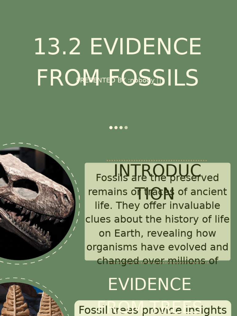 13.2 Evidence From Fossil Fuels | PDF | Fossil | Evolution