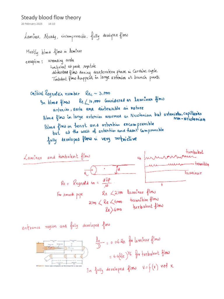 Lecture 9 Steady Blood Flow | PDF