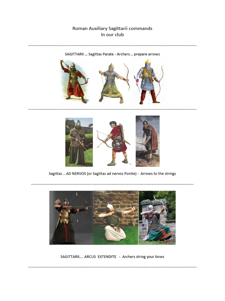 Auxiliary Sagittarii Commands | PDF