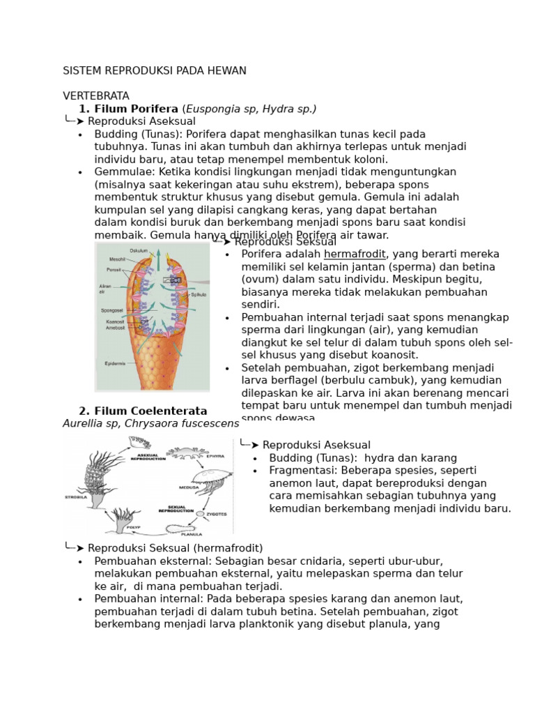 Sistem Reproduksi Hewan: Aseksual dan Seksual | PDF
