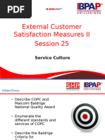 COPC Standards | PDF