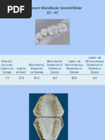 Permanent Mandibular 2nd Premolar | PDF | Dental Anatomy | Dentistry