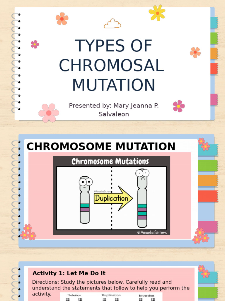 Types of Chromosomal Mutation | PDF