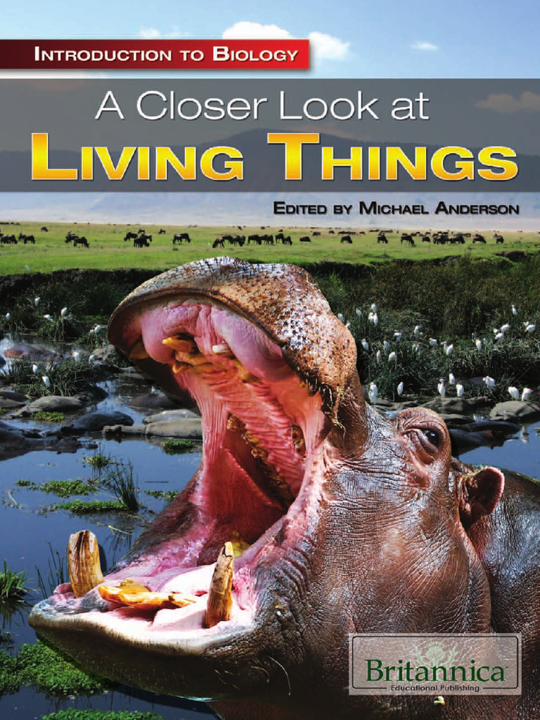 A Closer Look at Living Things (Introduction To Biology) | PDF | Cell ...