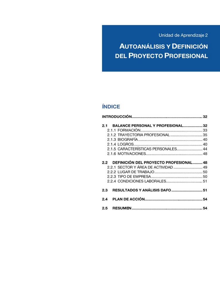 Definicion Proyecto Profesional | PDF