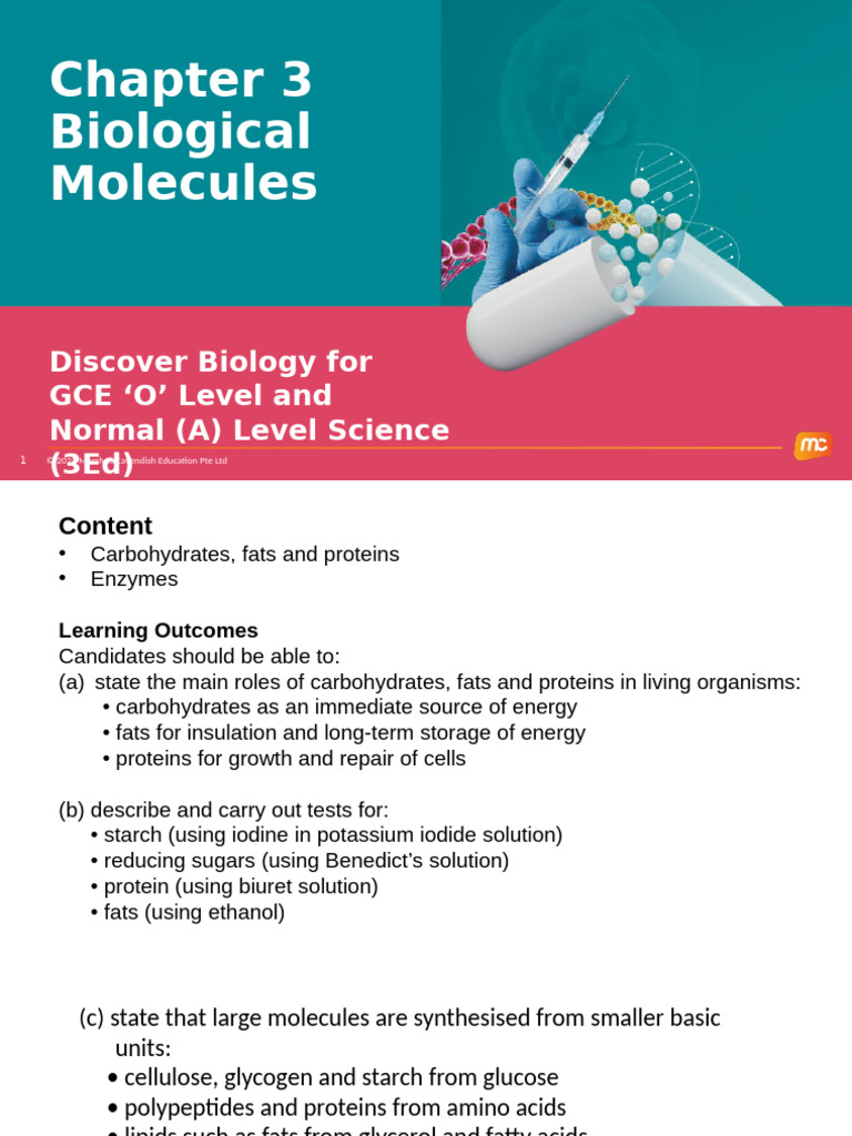 Understanding Biological Molecules Pdf Carbohydrates Proteins