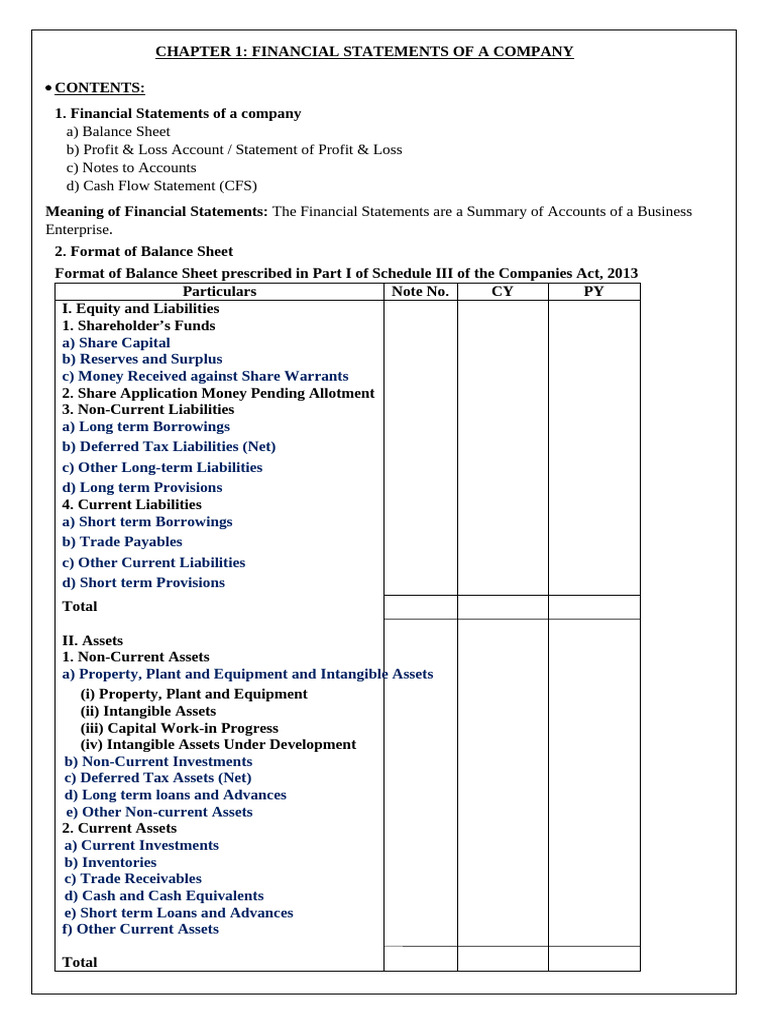 Financial Statement of Company | PDF | Balance Sheet | Intangible Asset