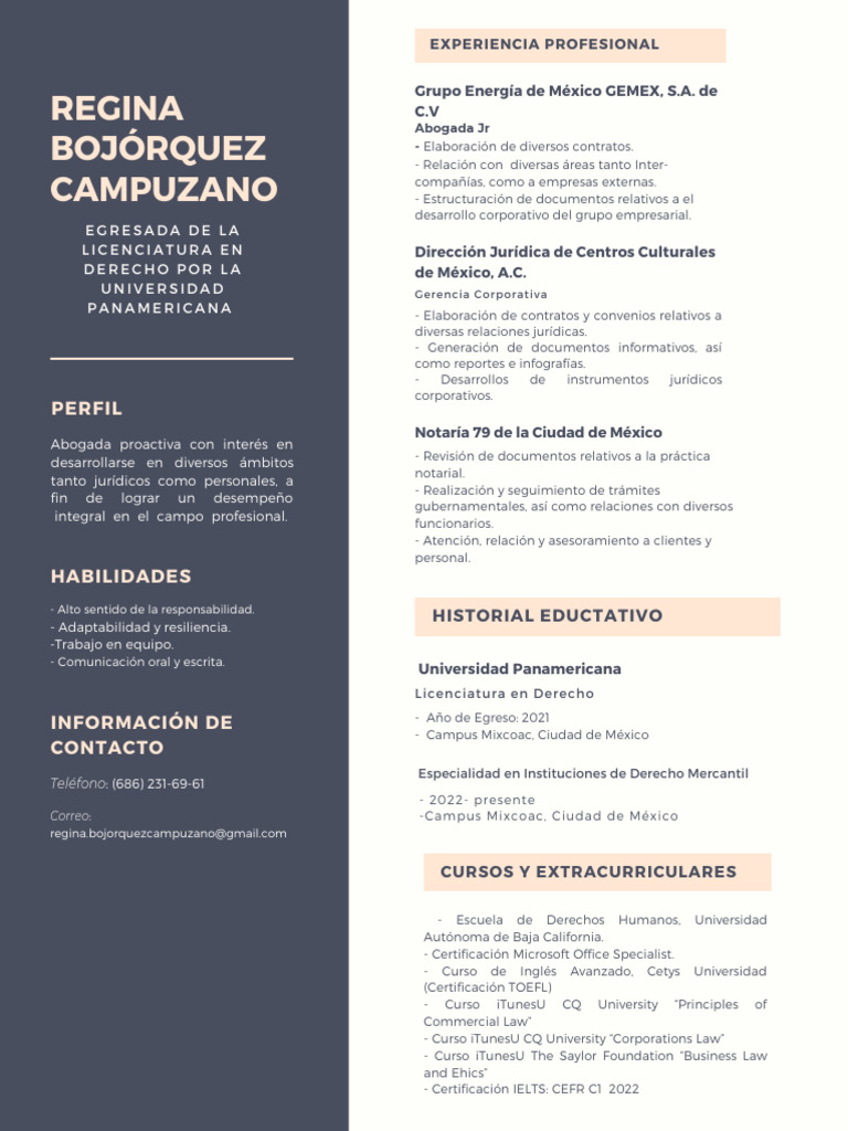 CV Bojorquez Campuzano Regina | PDF | Business