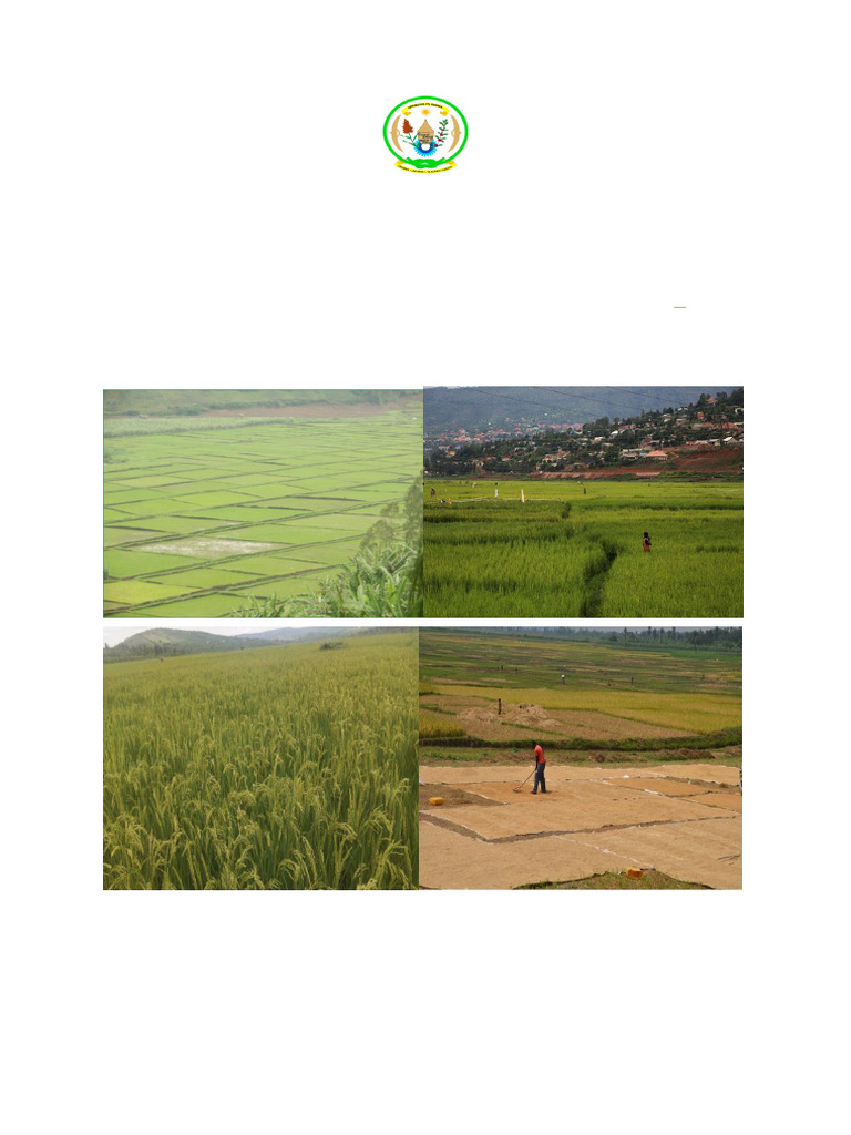 Rwanda National Rice Strategy 2021-2030 | PDF | Agriculture | Rice