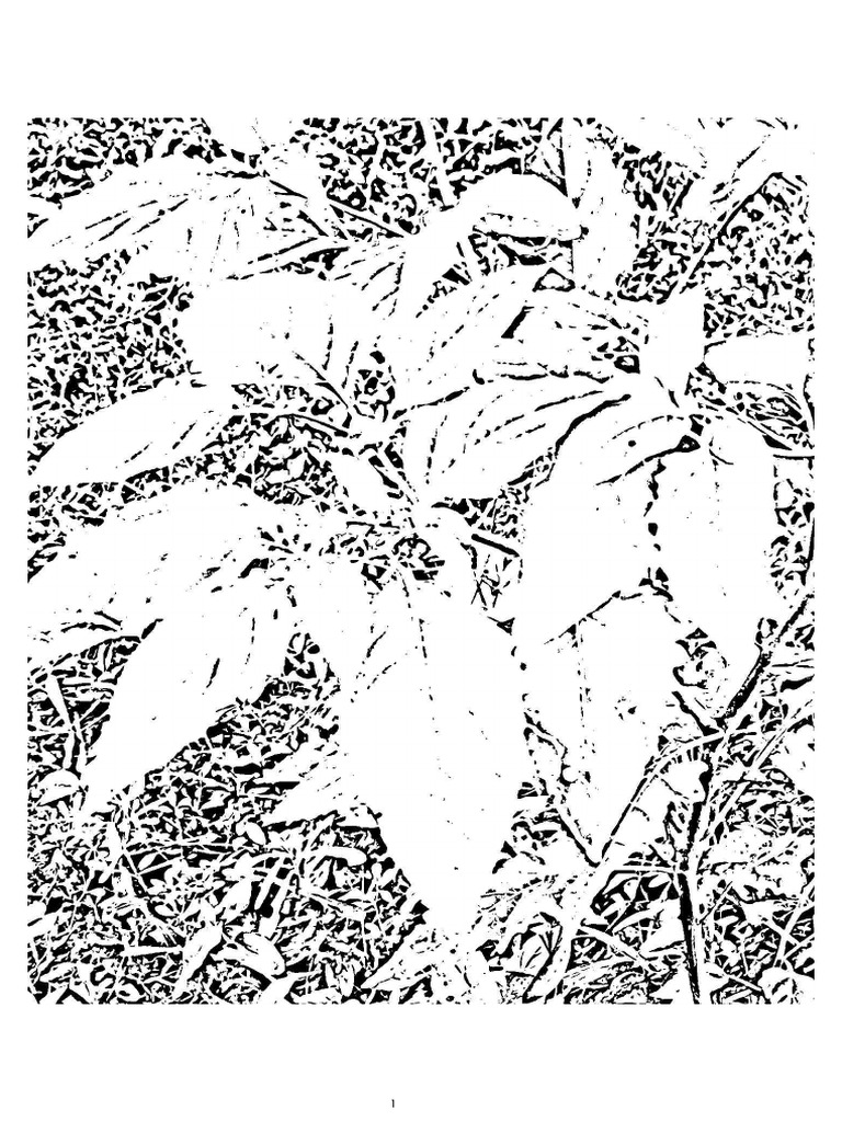 Kaagaz_20250331_154822594720 | PDF