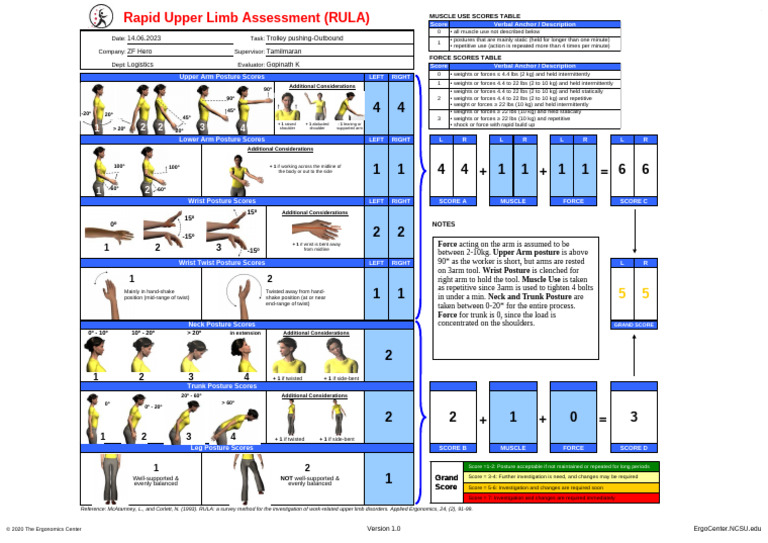 RULA - Outbound - MR - Shanmugam | PDF | Human Body | Primate Anatomy