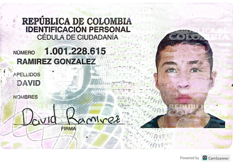 Cédula David Ramírez Frente | PDF
