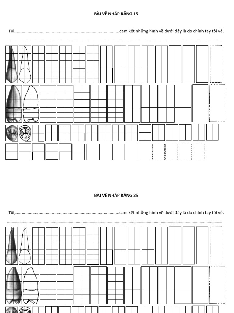Ve nhap R15-25 | PDF