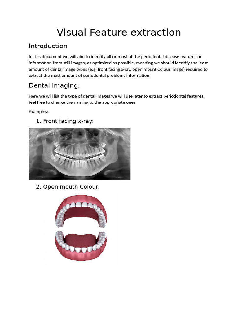 Visual Feature Extraction | PDF