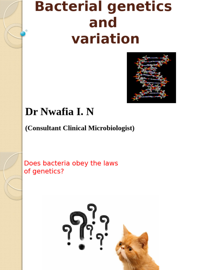 Bacteria Genetics and Variations | PDF | Genetics | Gene