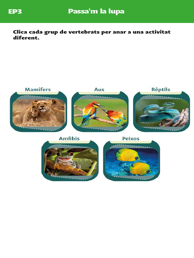 CAT-EP3-NAT.03.3.S.14.a. Els Animals Vertebrats - RA | PDF