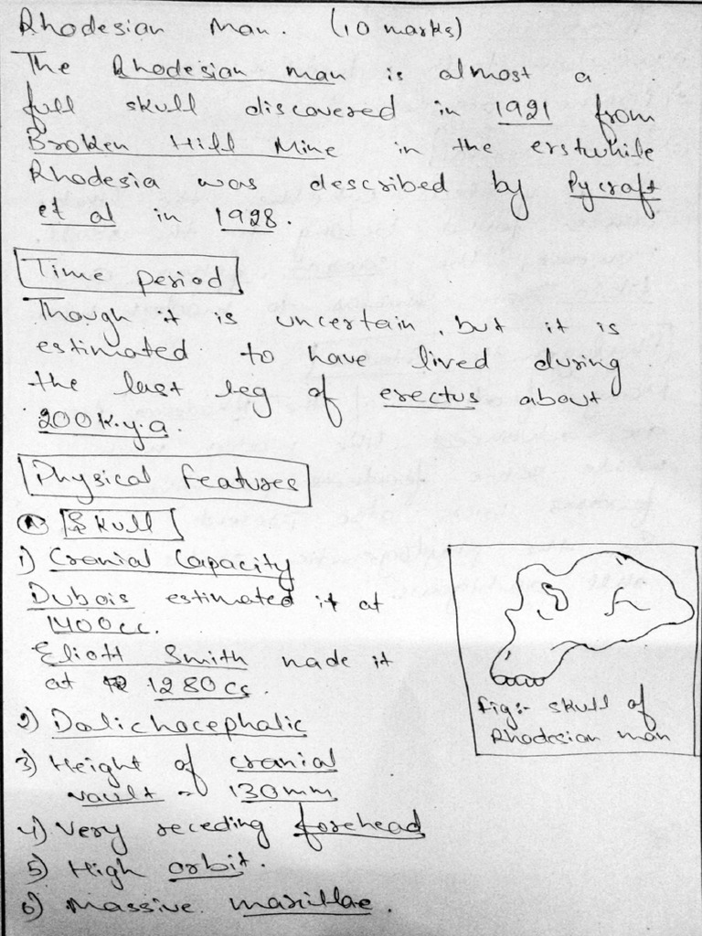 rhodesian man-1 | PDF