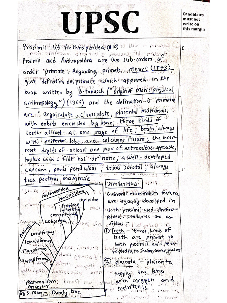 Prosimii Vs Anthropoidea-1 | PDF