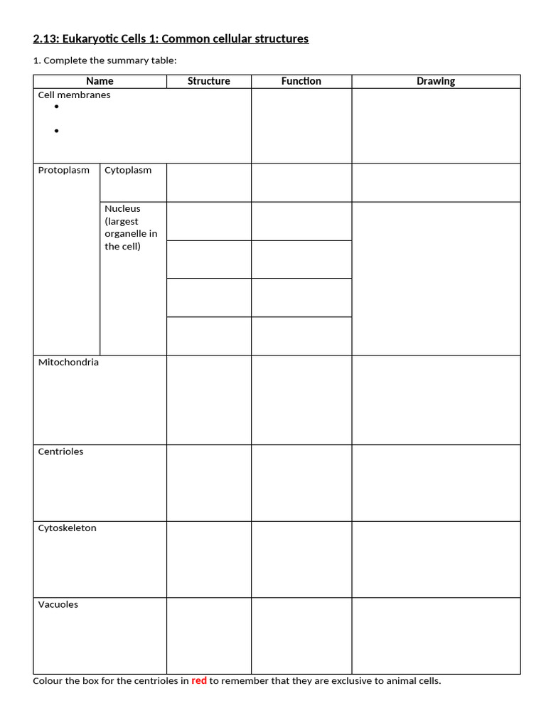 2.13 Eukaryotic Cells Classwork RGa | PDF | Cell (Biology) | Cell Biology