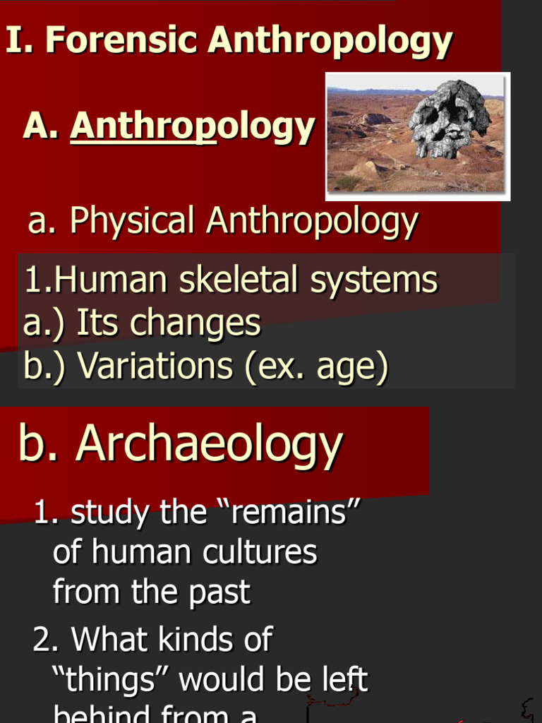 Fdocuments - in I Forensic Anthropology A Anthropology B Forensic ...