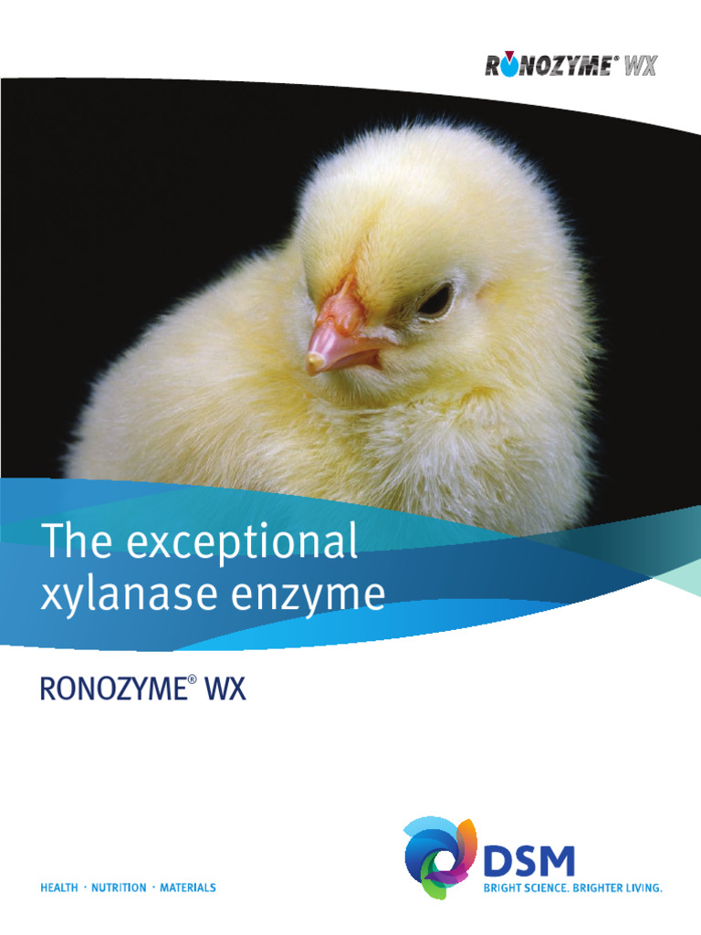 ronozyme-wx-brochure | PDF