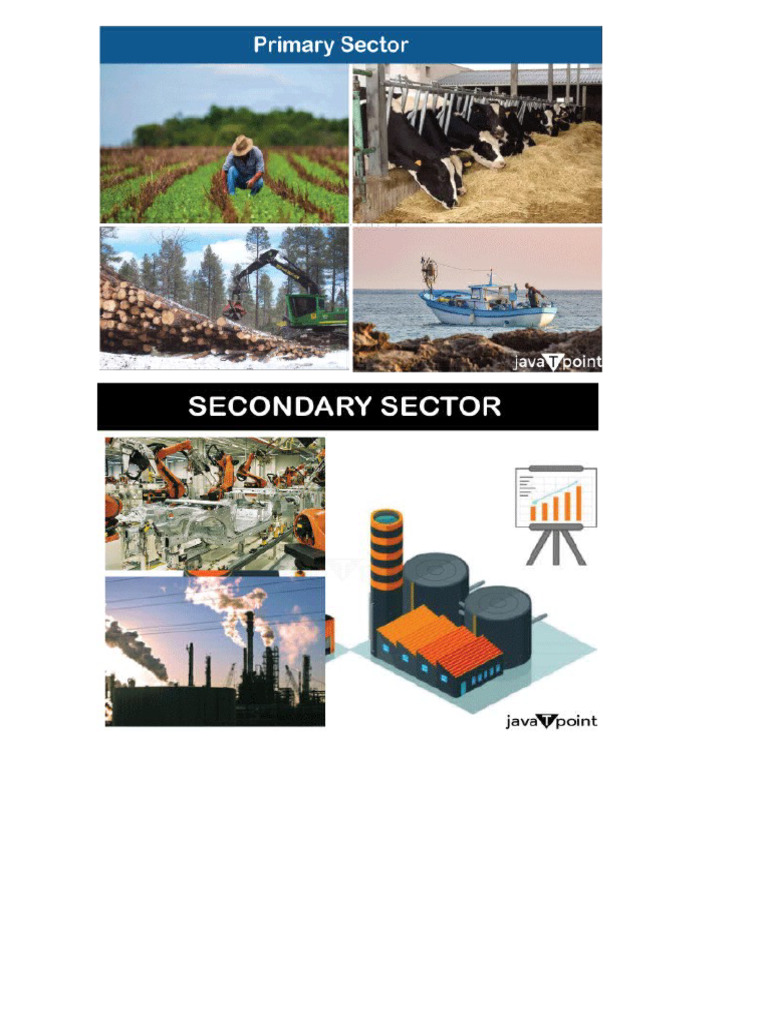 Understanding the Tertiary Sector | PDF