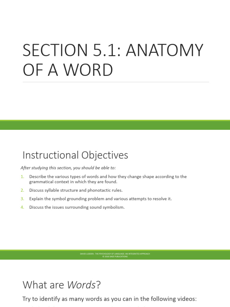 Anatomy of Words and Their Meaning | PDF | Word | Syllable