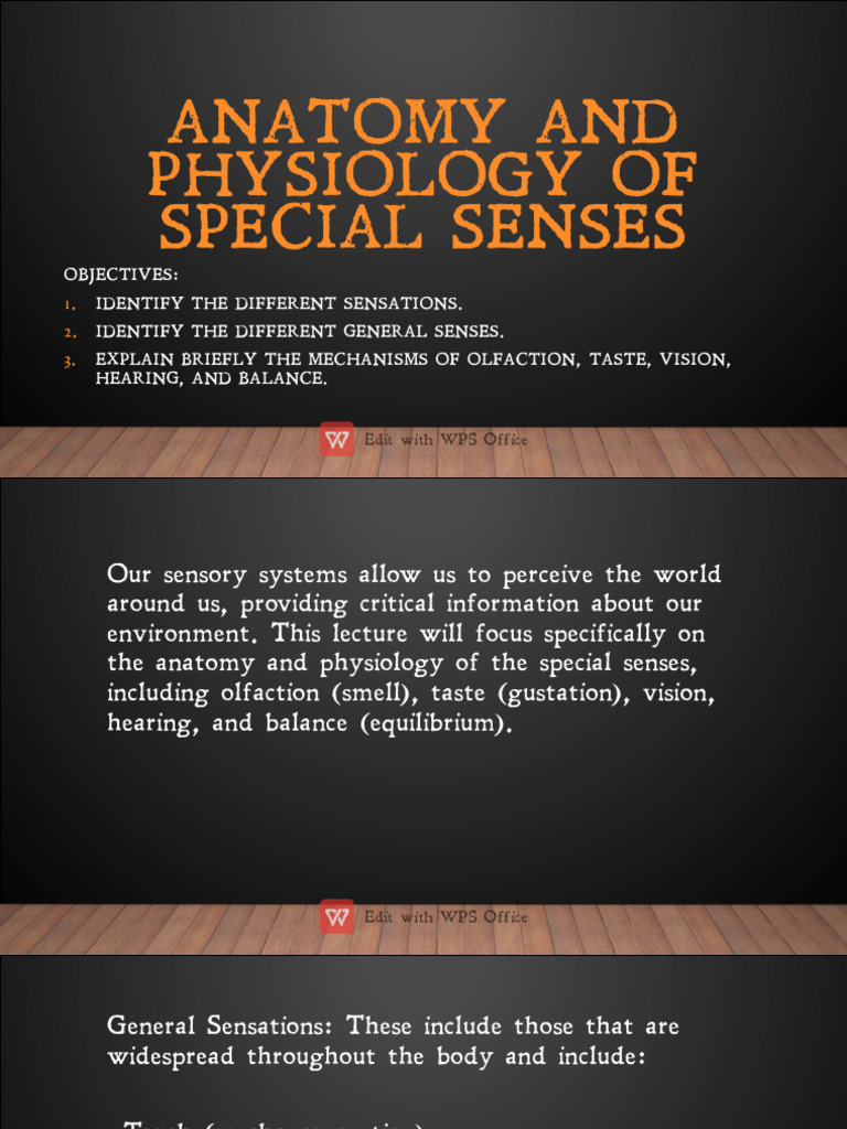 Anatomy and Physiology of Special Senses | PDF | Senses | Ear