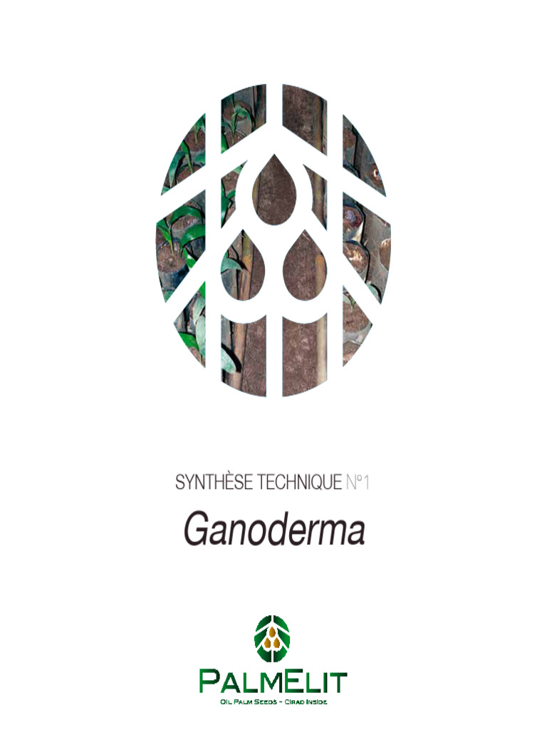 Alpha Palm 6 | PDF | Plantation