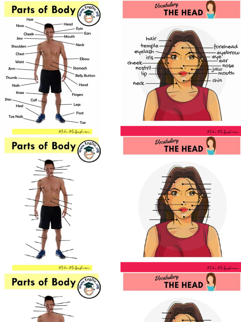 8 Body and Mind | PDF