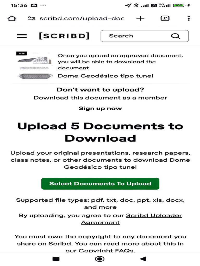 Scrib 1 | PDF