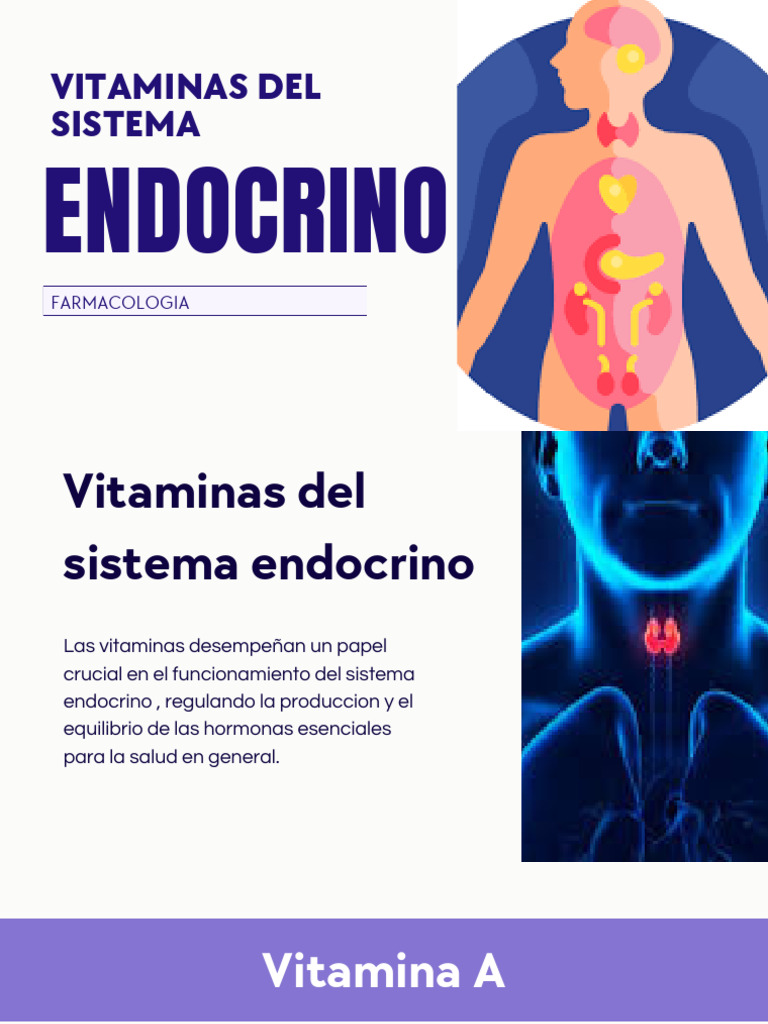 Vitaminas 20240603 213013 0000 | PDF | Hormona | Sistema endocrino