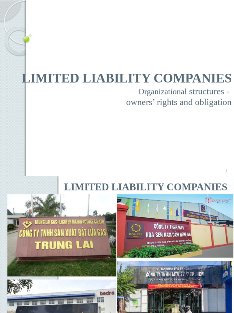 Understanding Limited Liability Companies | PDF | Legal Liability ...