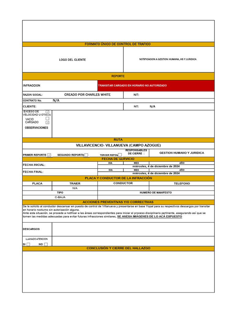 Reporte de Infracción de Tráfico | PDF